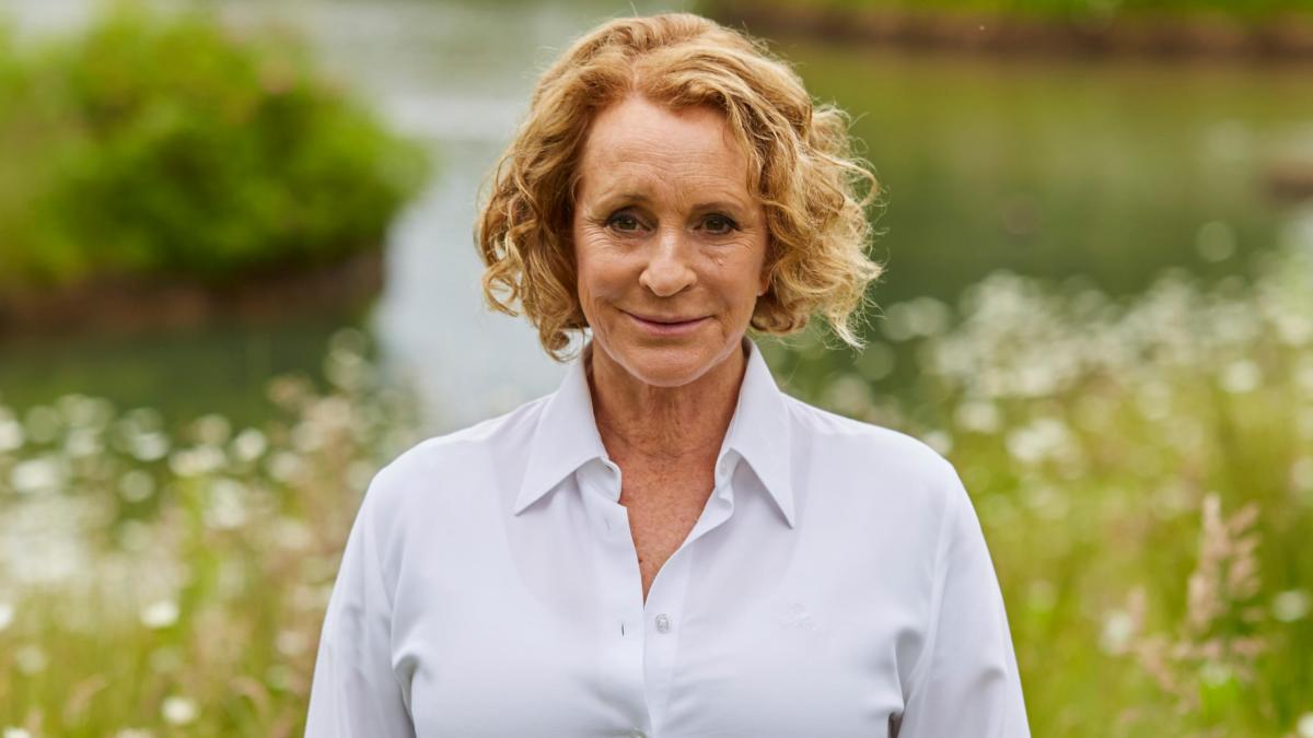 Dans Quel Ordre Lire Philippa Gregory (Séries Tudor Court, Cousins War ...